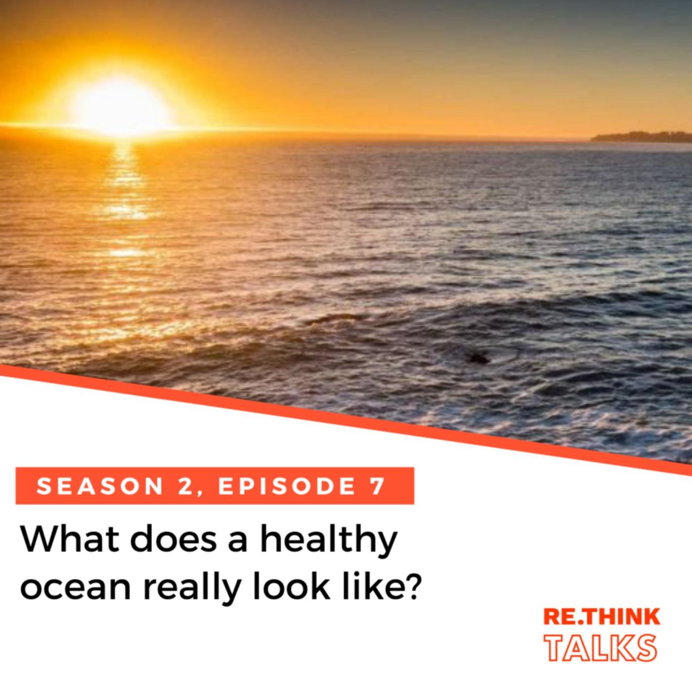 Human use of the ocean: Limit- and lawless? - Rethink Talks (播客 ...