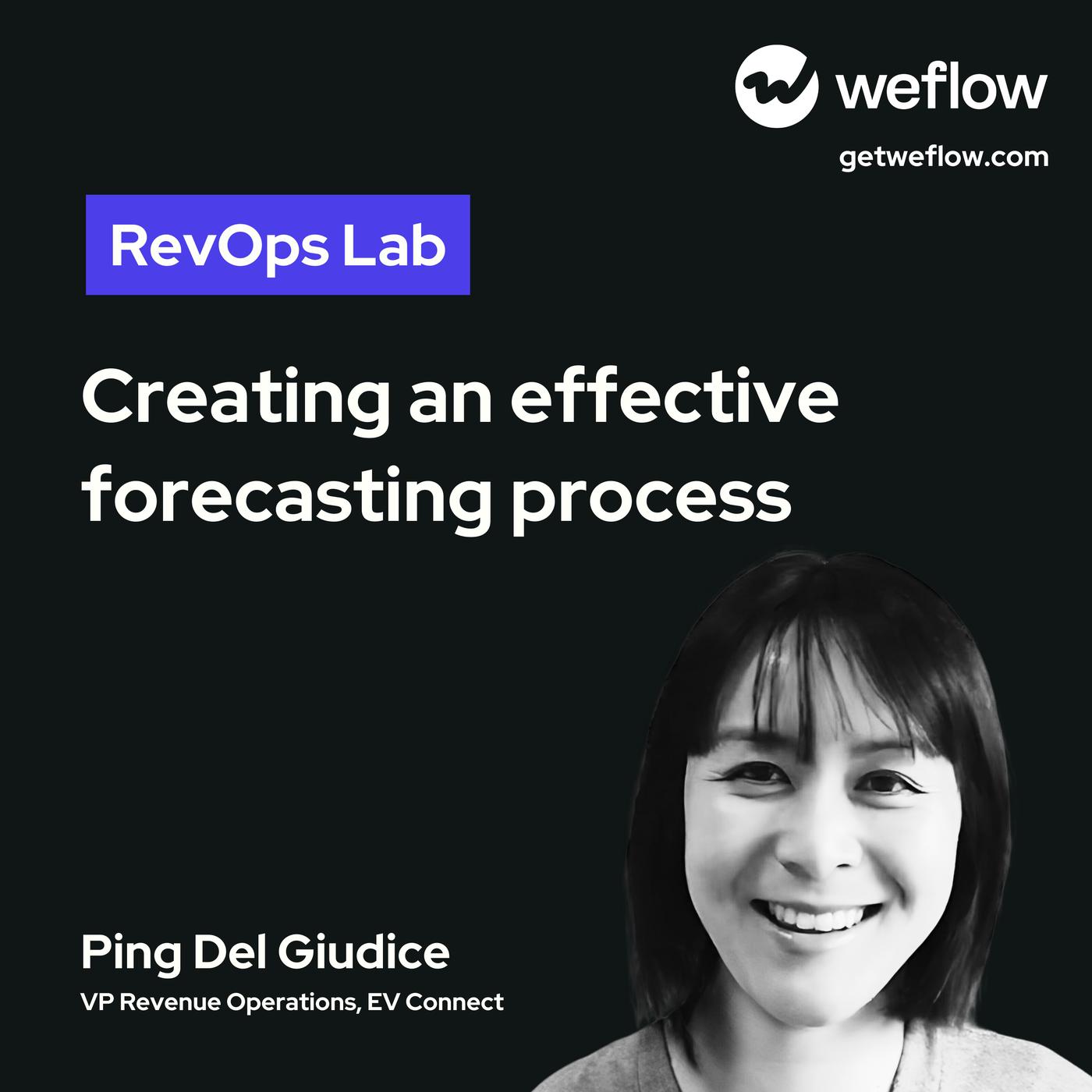 #22 How RevOps works in Enterprise, Ian Matthews, VP GTM Strategy, Planning & Incentives at ...