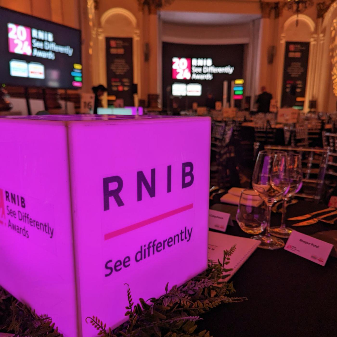 529: RNIB See Differently Awards 2024 - Red Bee Media | Listen Notes