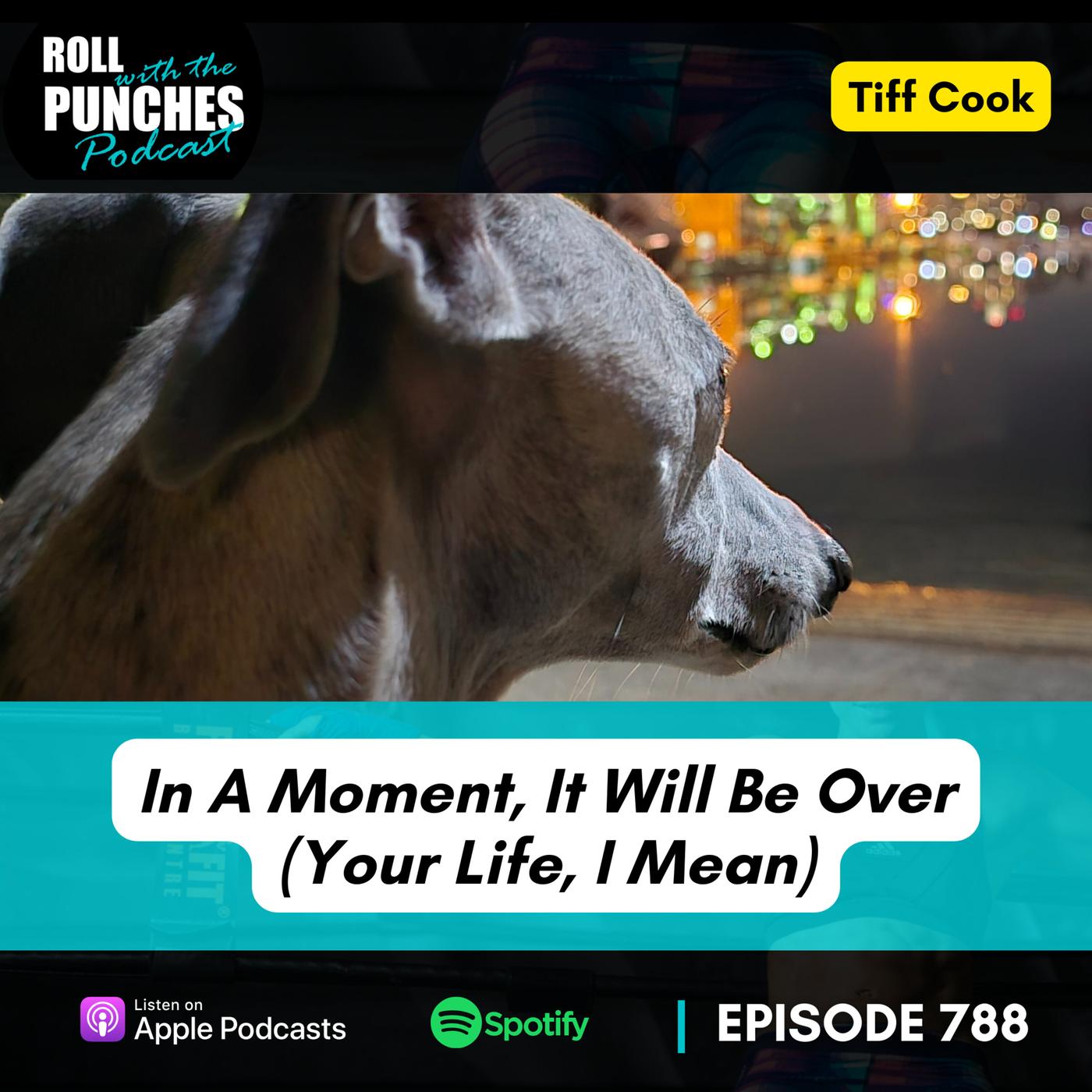 Roll With The Punches (podcast) - Tiffanee Cook | Listen Notes