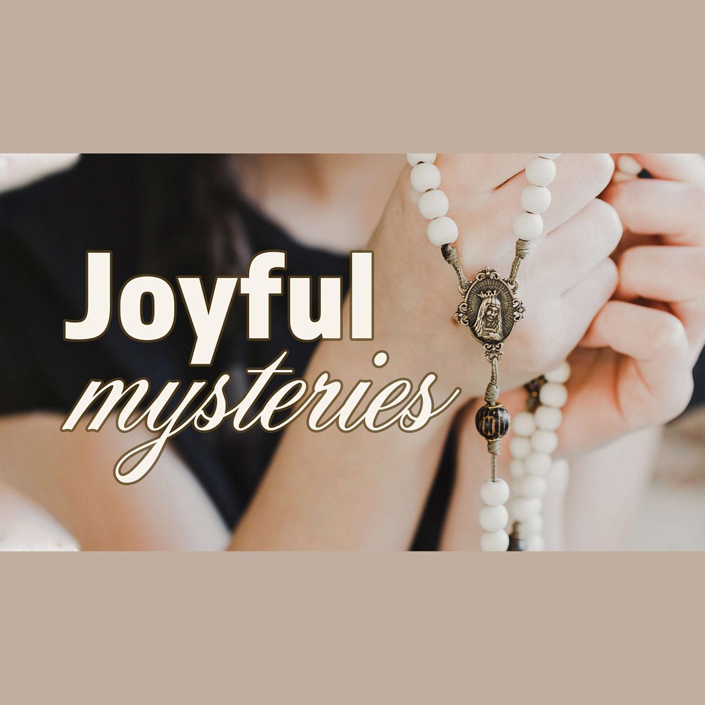 Pray The Rosary - The Joyful Mysteries - Rosary Daily with Bruce Downes ...