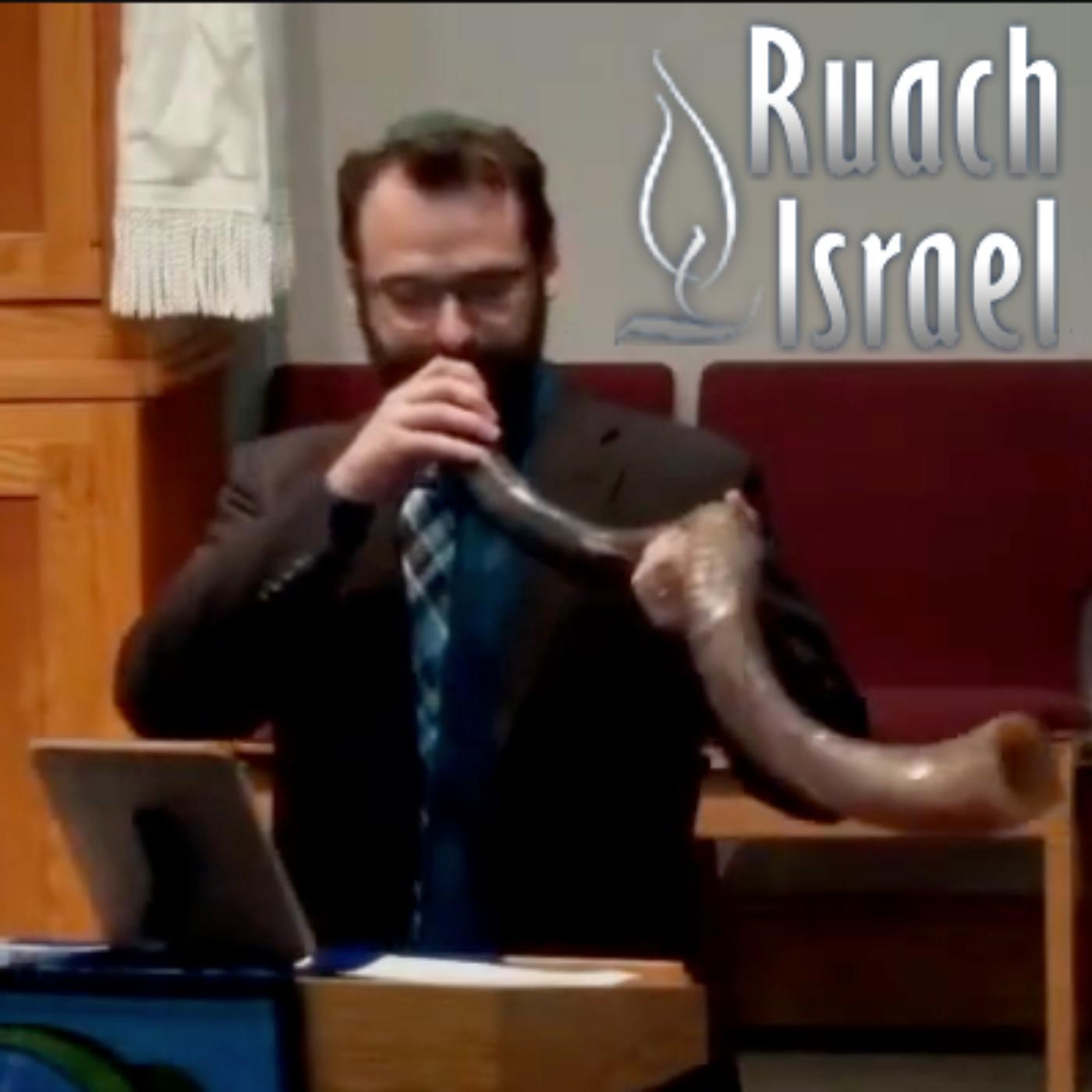 A Beginner’s Guide to the Kingdom of Heaven (Sermon on the Mount Series ...