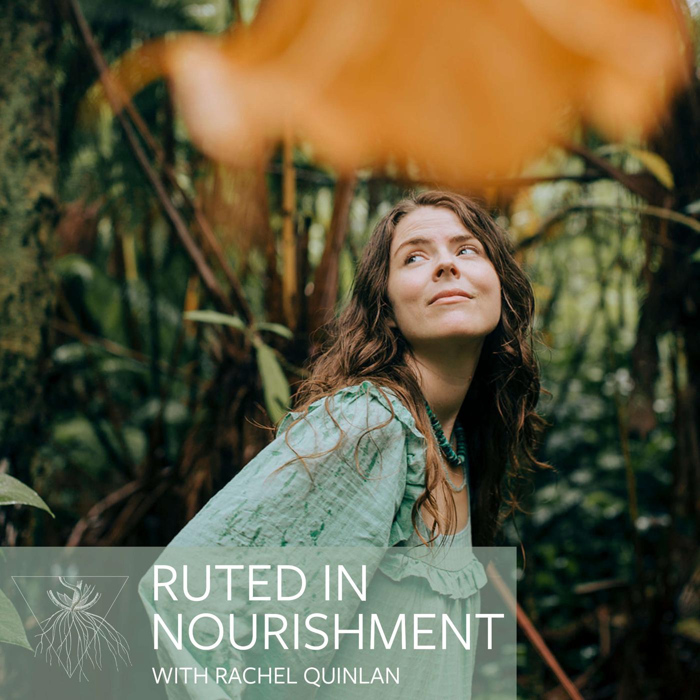 Befriending Plants, Working with Dreams and Connecting to our Ancestors ...