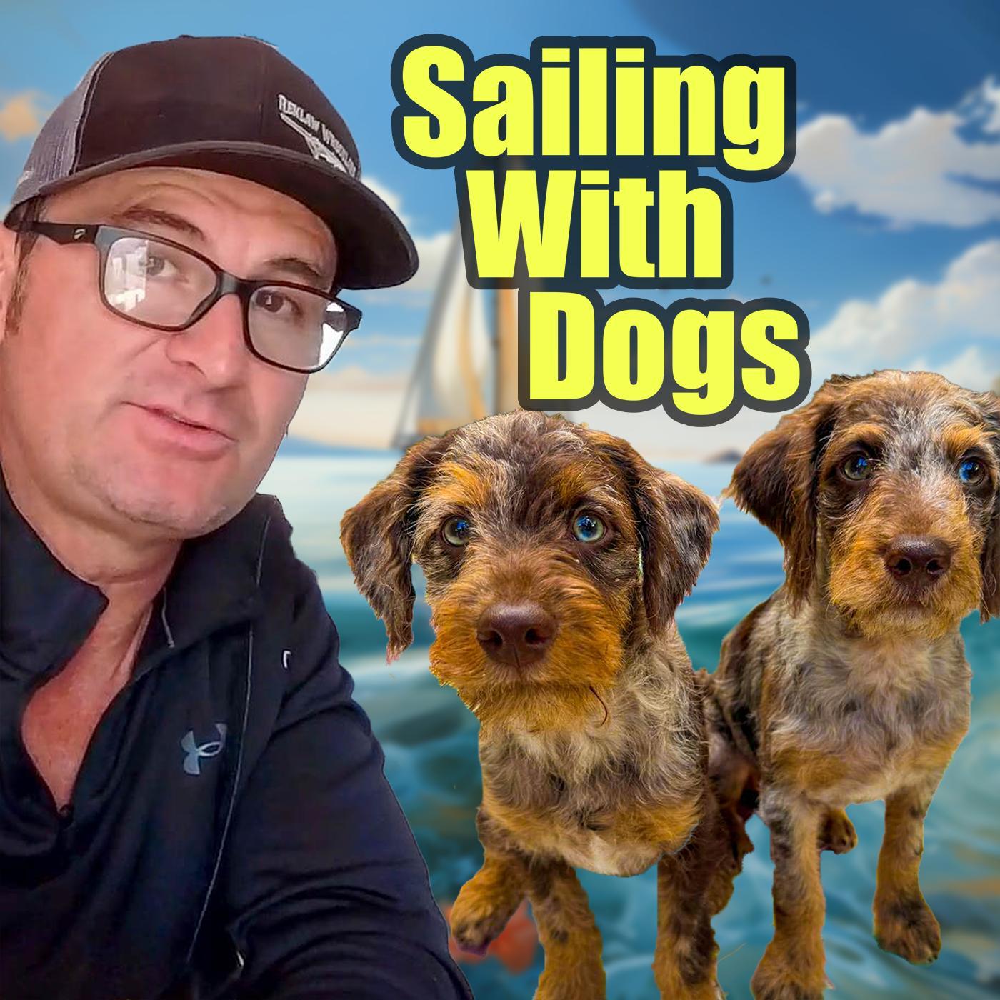 Meet Amanda, my returning crew - Sailing Doodles Podcast | Listen Notes