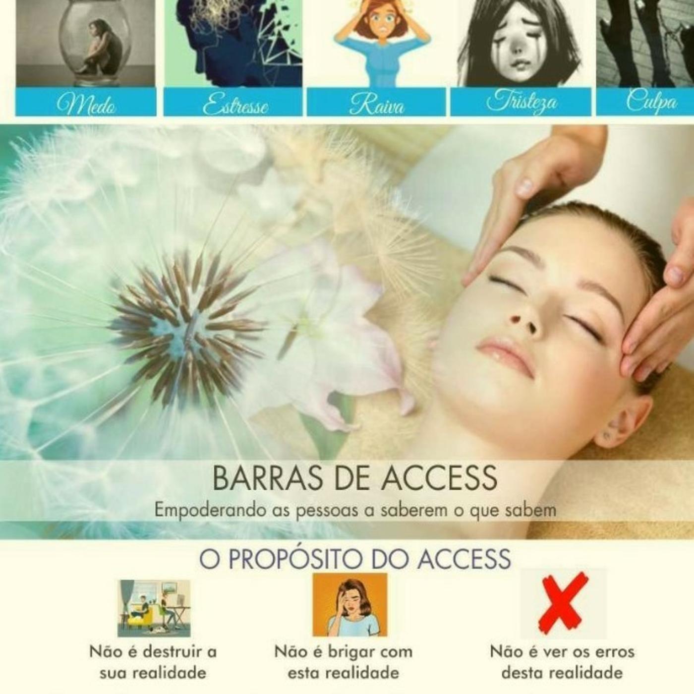 Você Sabe o que é Barras de Access? - Salete Lopes Terapias Holística ...