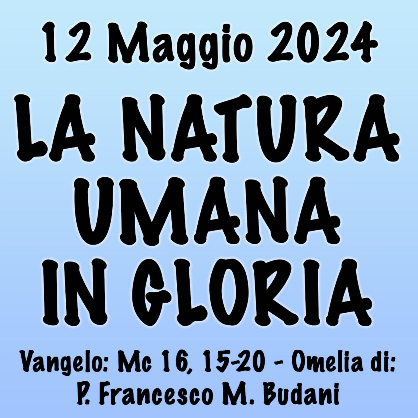 Omelia 16 Maggio 2024, SANTA MARGHERITA DA CORTONA - Santuario Madonna ...