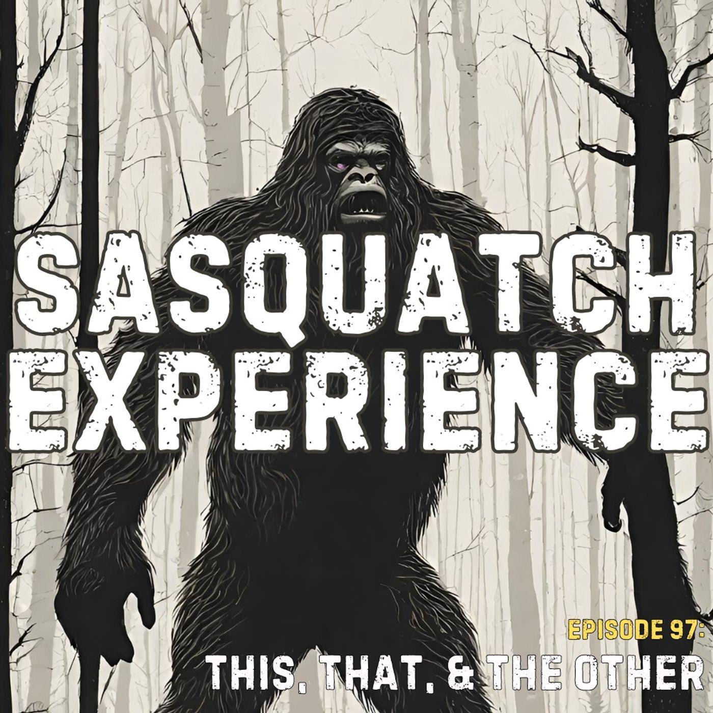 EP 85: Bigfoot - After Death? - Sasquatch Experience (podcast) | Listen ...