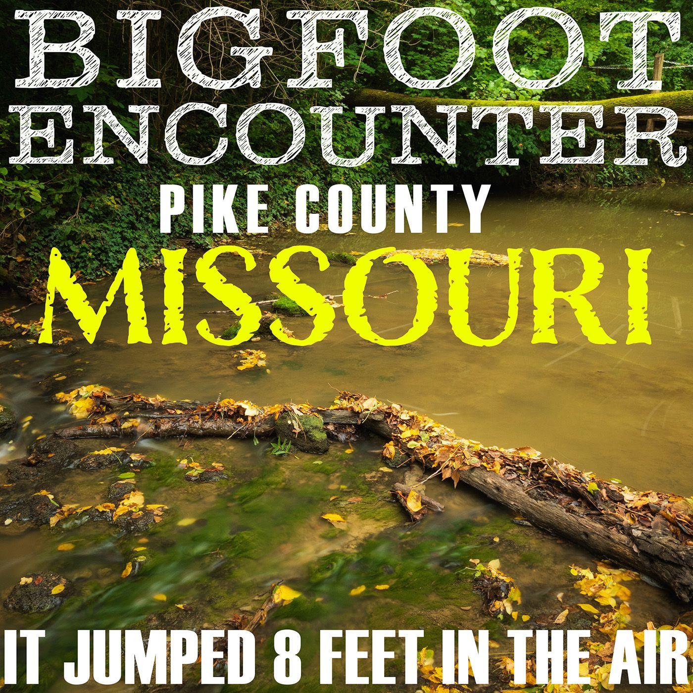 BIGFOOT ENCOUNTERS FROM THE STATE OF OHIO | IT WAS LOOKING THROUGH THE ...