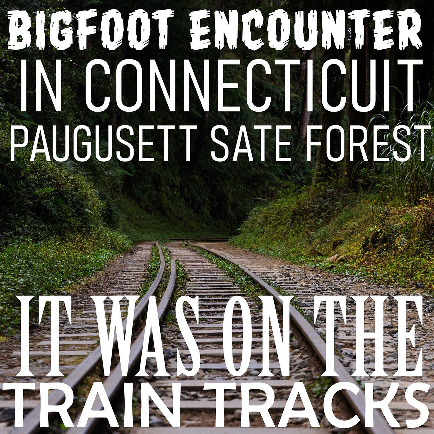 BIGFOOT ENCOUNTERS FROM THE STATE OF OHIO | IT WAS LOOKING THROUGH THE ...