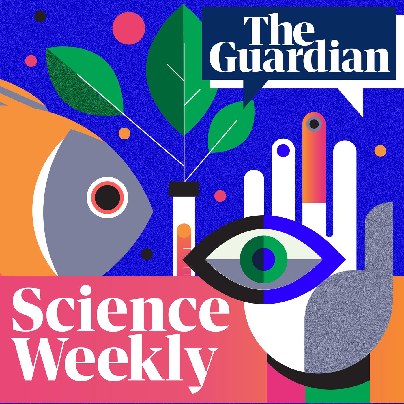Podcasts from THEGUARDIAN.COM | Listen Notes