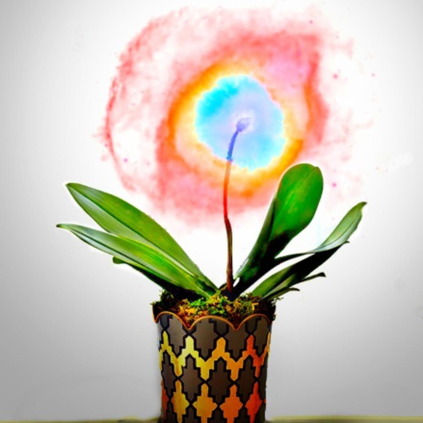 SCP-3213 - SCP Foundation (podcast) | Listen Notes