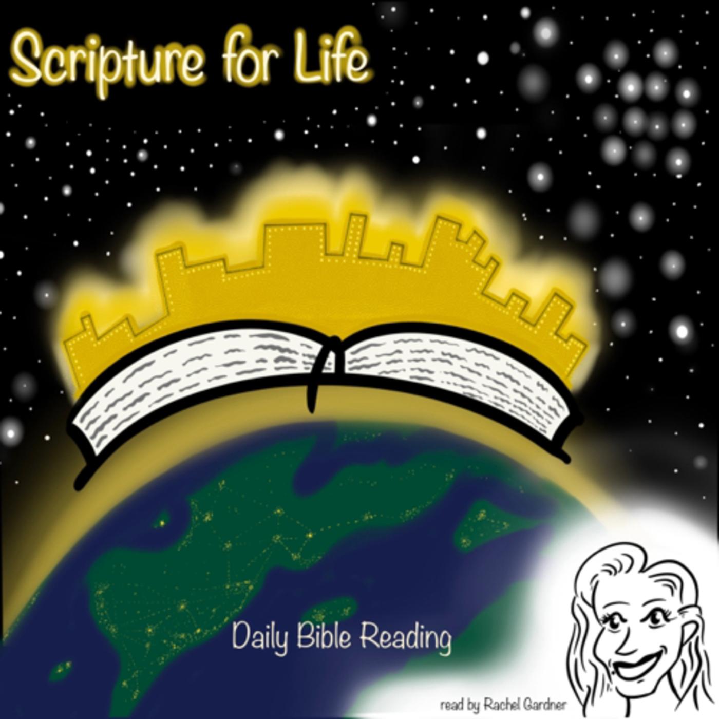 February 12, 2025 Reading the NET Bible with the One Year Bible Plan ...