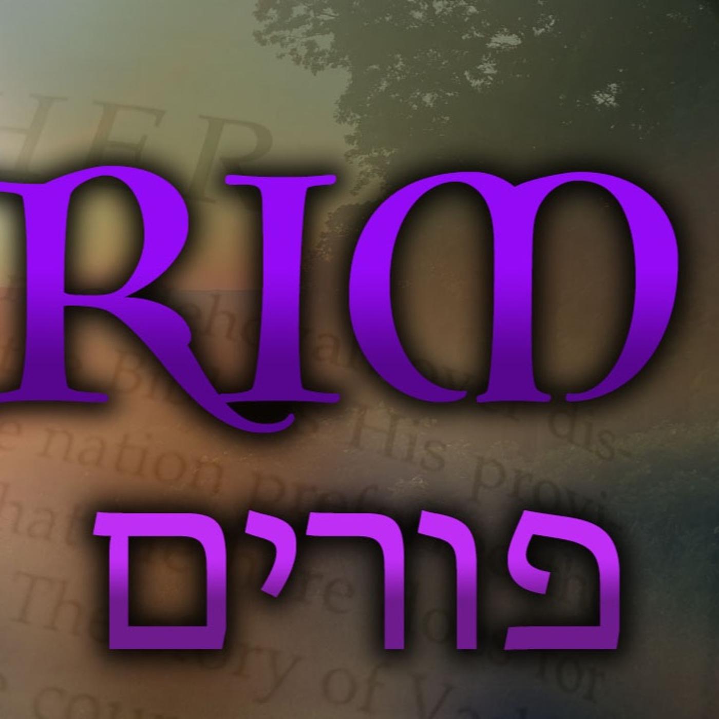 The Feast of Purim 2023 (PT1): Esther Chapters 1-4 - Haman Plots ...