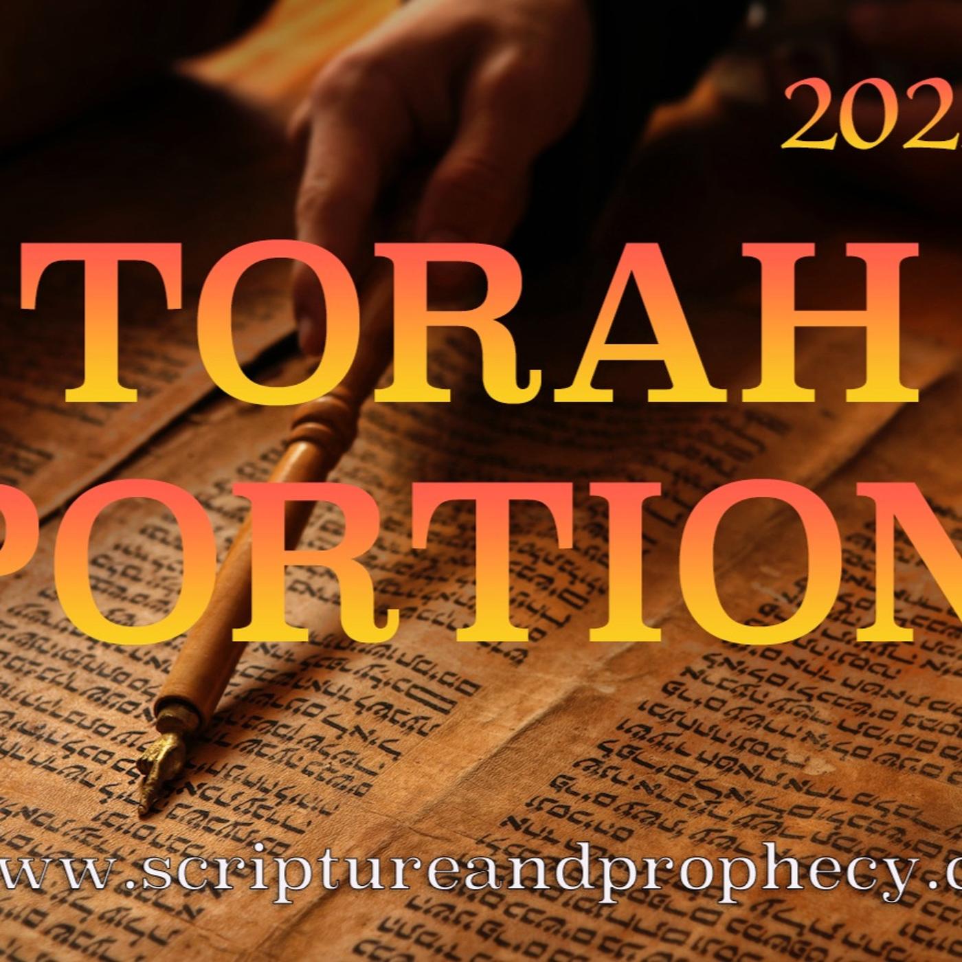 Torah Portion – Vayechi: Genesis 47:28–50:26 - The Last Days of Jacob ...