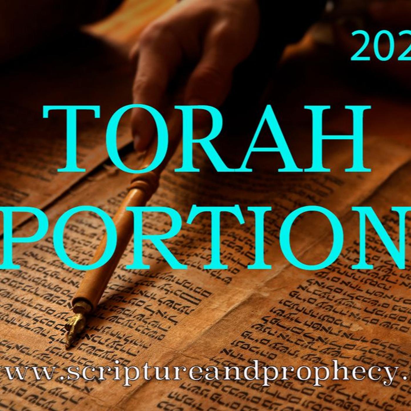 Torah Portion April 9 2025 – 5785 Shabbat Torah Reading – IRMT