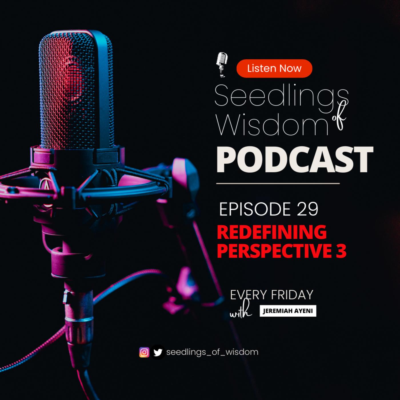 Redefining Perspective (Part 3) - Seedlings Of Wisdom (podcast ...