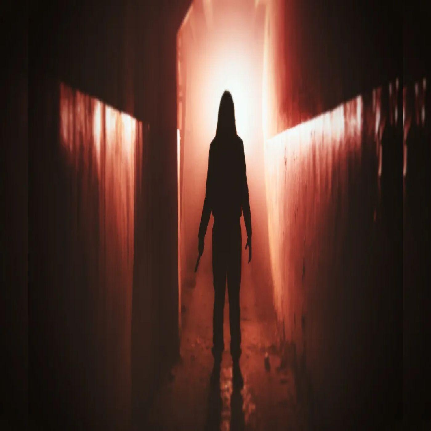 Serial Killers: Real Life Documentaries (podcast) - Peter Zahr | Listen ...
