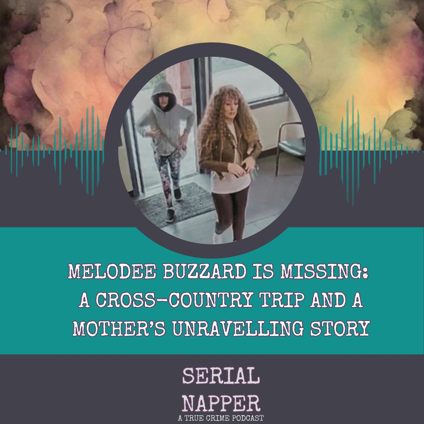 Melodee Buzzard is Missing: A Cross-Country Trip and a Mother’s ...