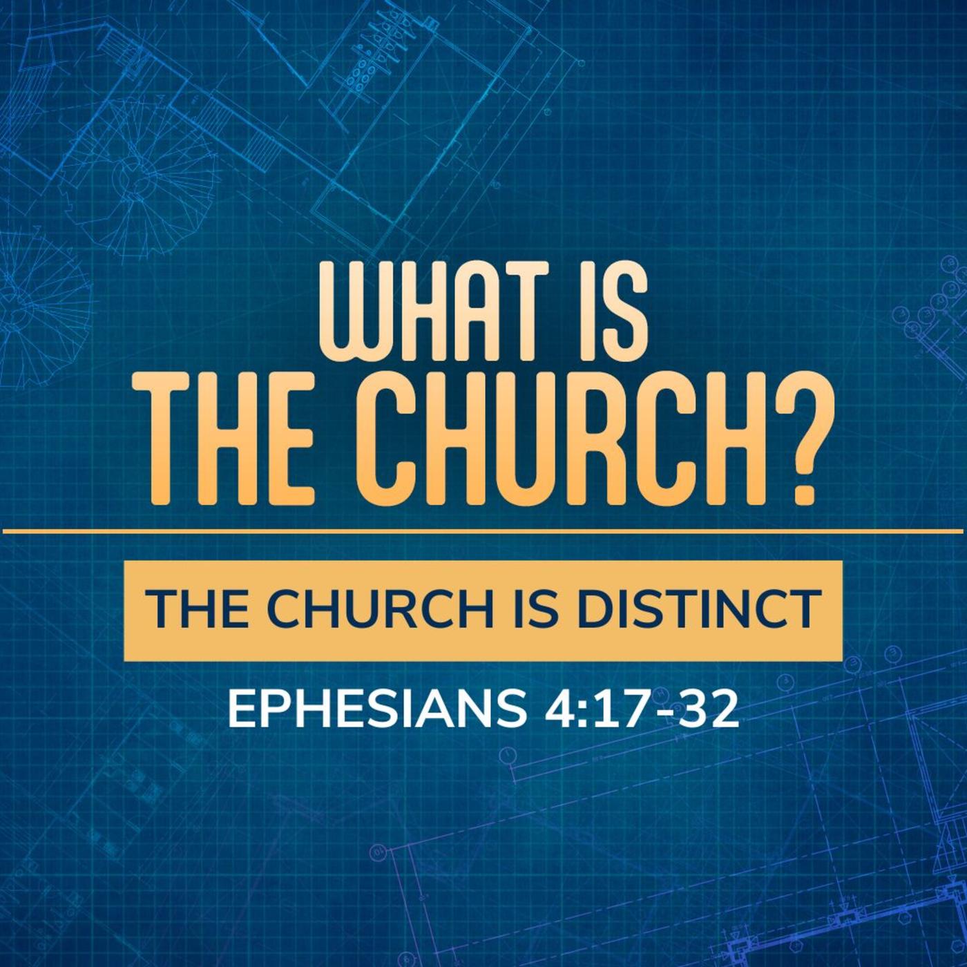The Church is Distinct | What is the Church? - Sermons - Salt Church ...