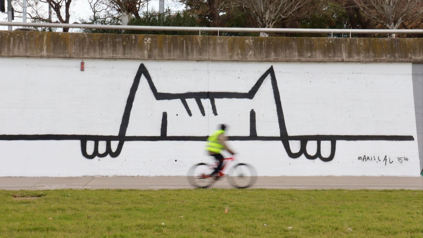 El Consell de Govern de la UAB aprova una declaració per endurir la ...