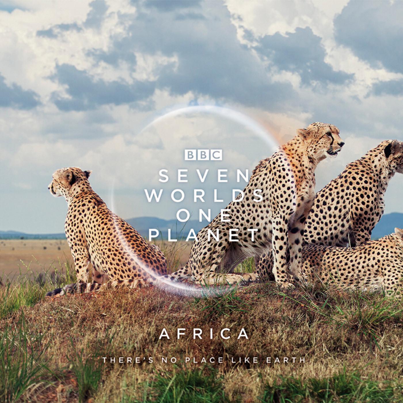 Seven Worlds One Planet - Australia - Seven Worlds One Planet – Martin ...