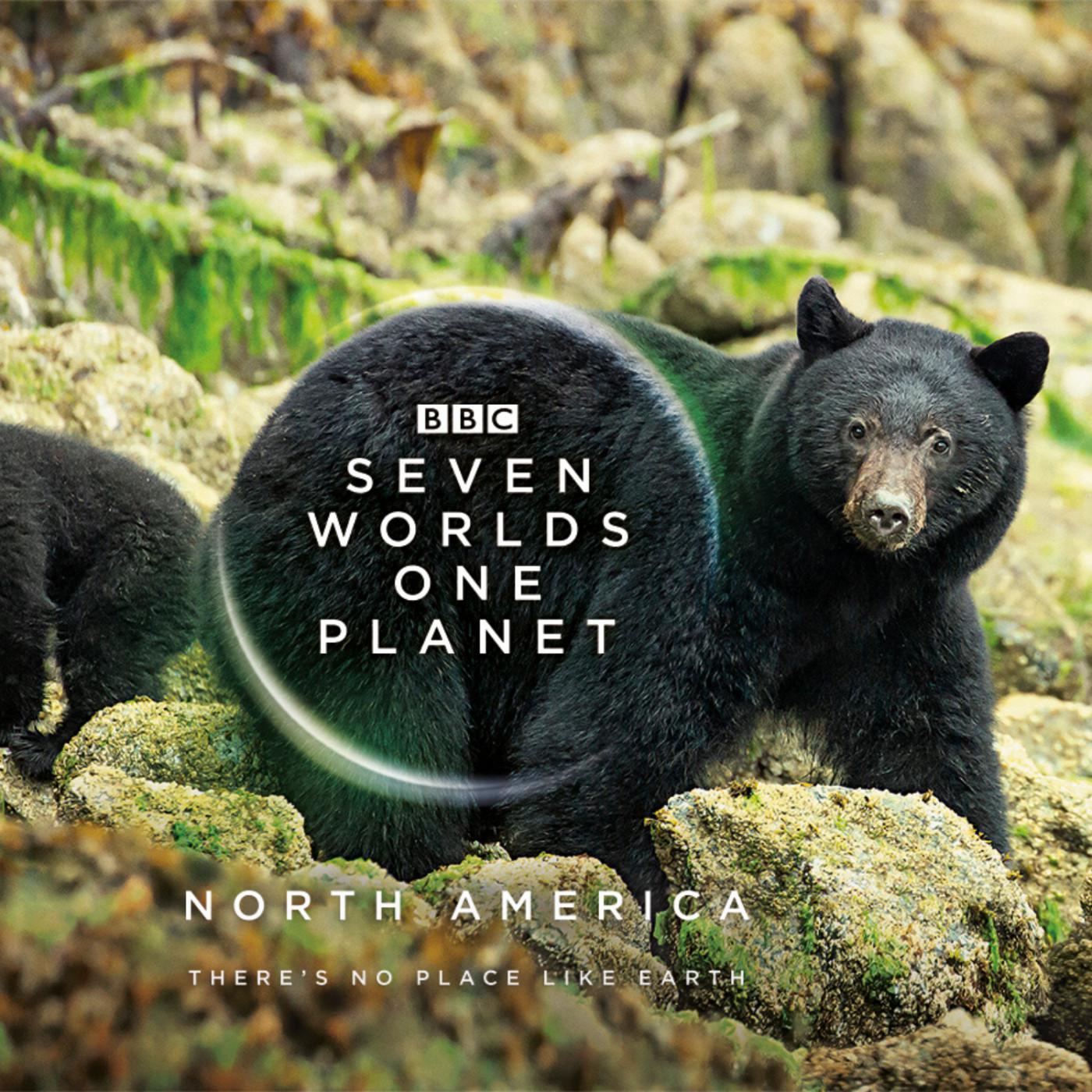 Seven Worlds One Planet - Australia - Seven Worlds One Planet – Martin ...