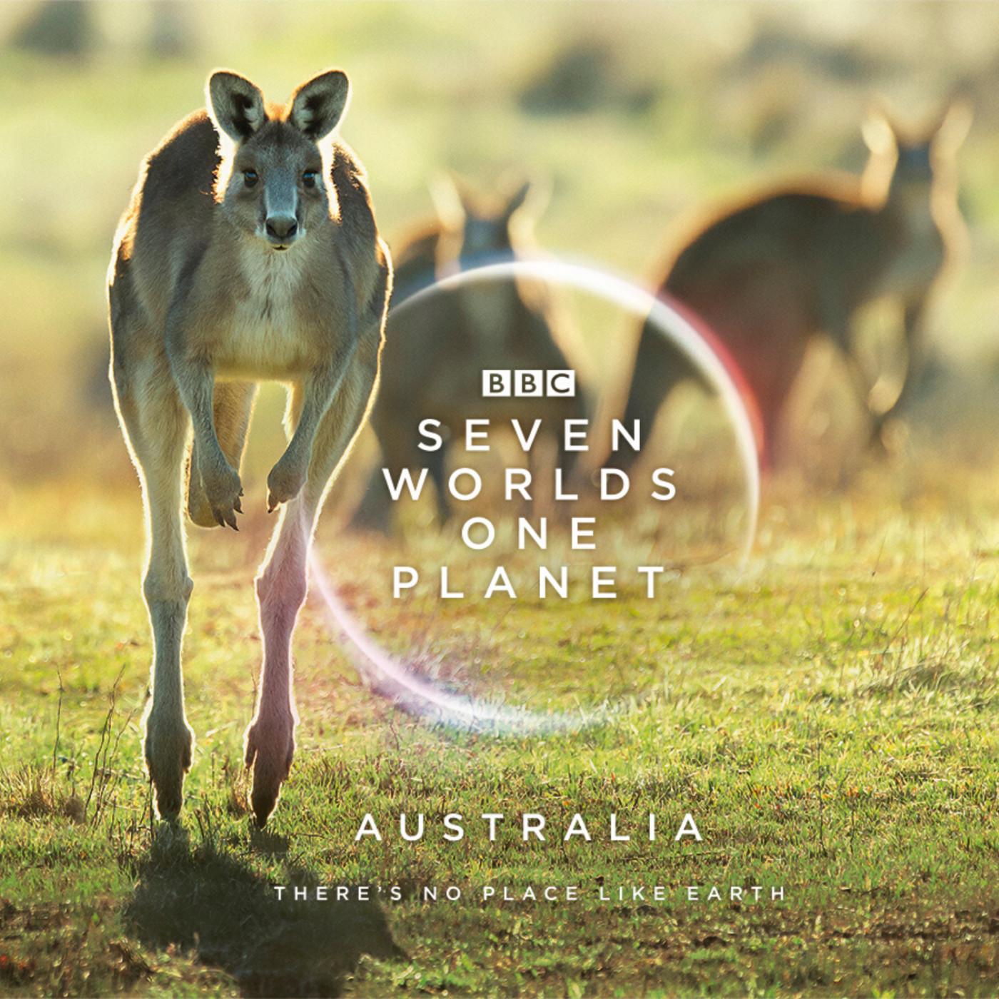 Seven Worlds One Planet - Australia - Seven Worlds One Planet – Martin ...