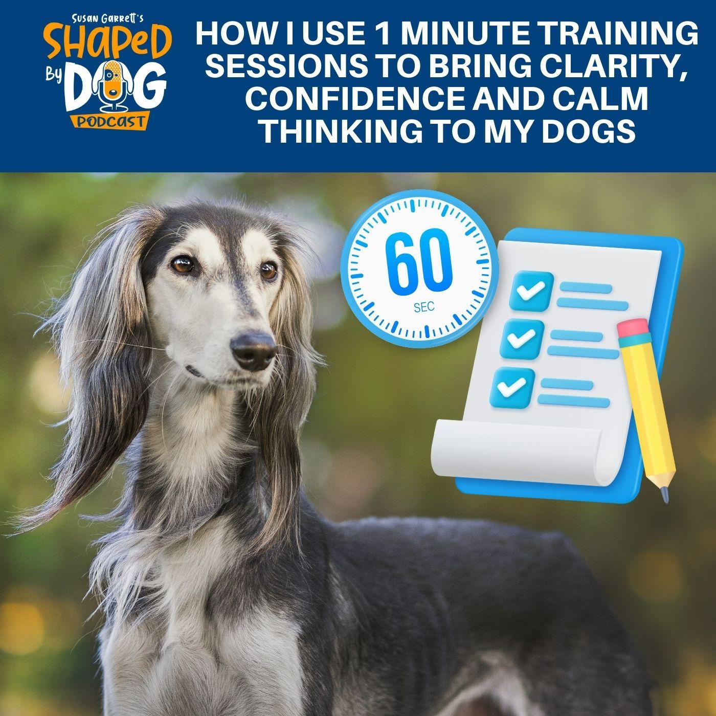 How I Use 1 Minute Training Sessions To Bring Clarity, Confidence And ...