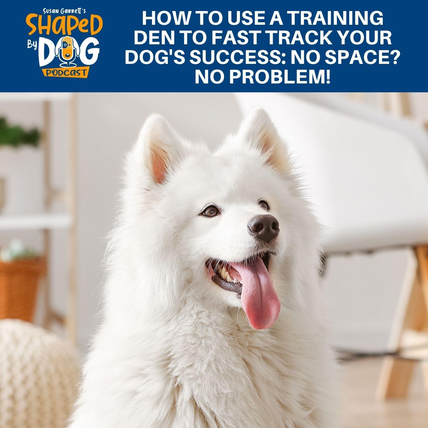 How I Use 1 Minute Training Sessions To Bring Clarity, Confidence And ...