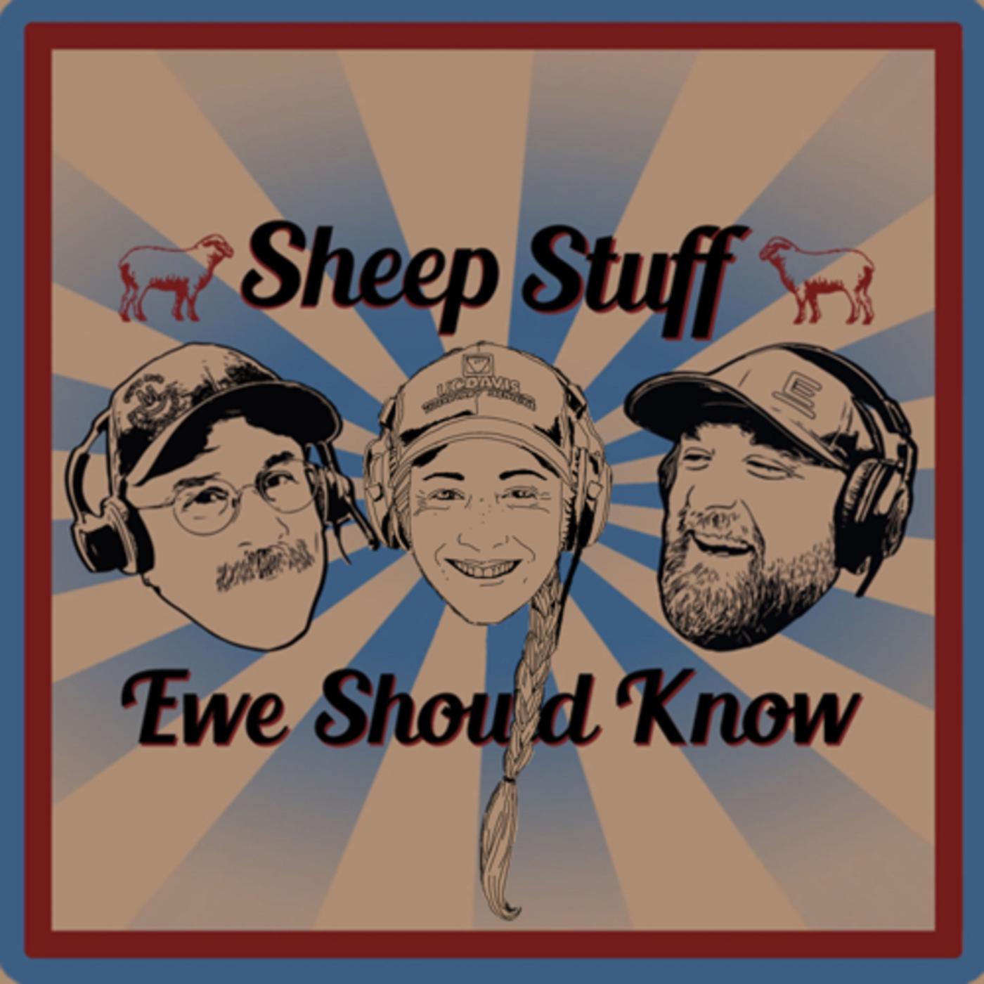 #153 - Dan and Ryan talk sheep stuff - Sheep Stuff Ewe Should Know ...