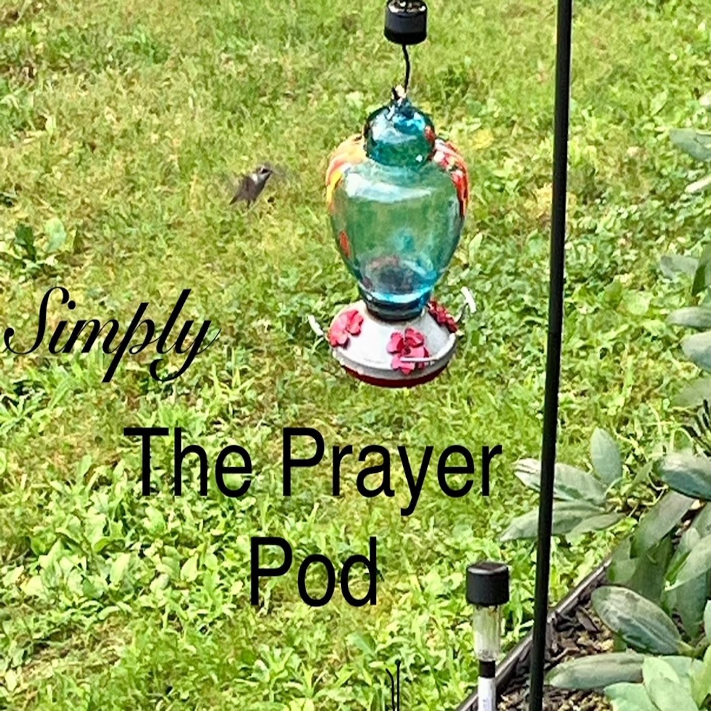 National Prayer Day 2024 - Simply The Prayer Pod (podcast) | Listen Notes