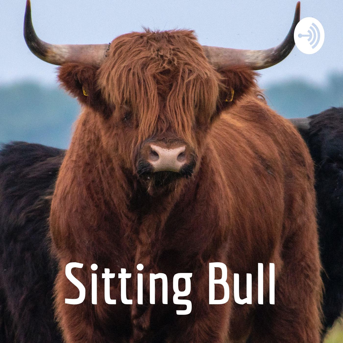 Sitting Bull (podcast) - Hailey Foster | Listen Notes