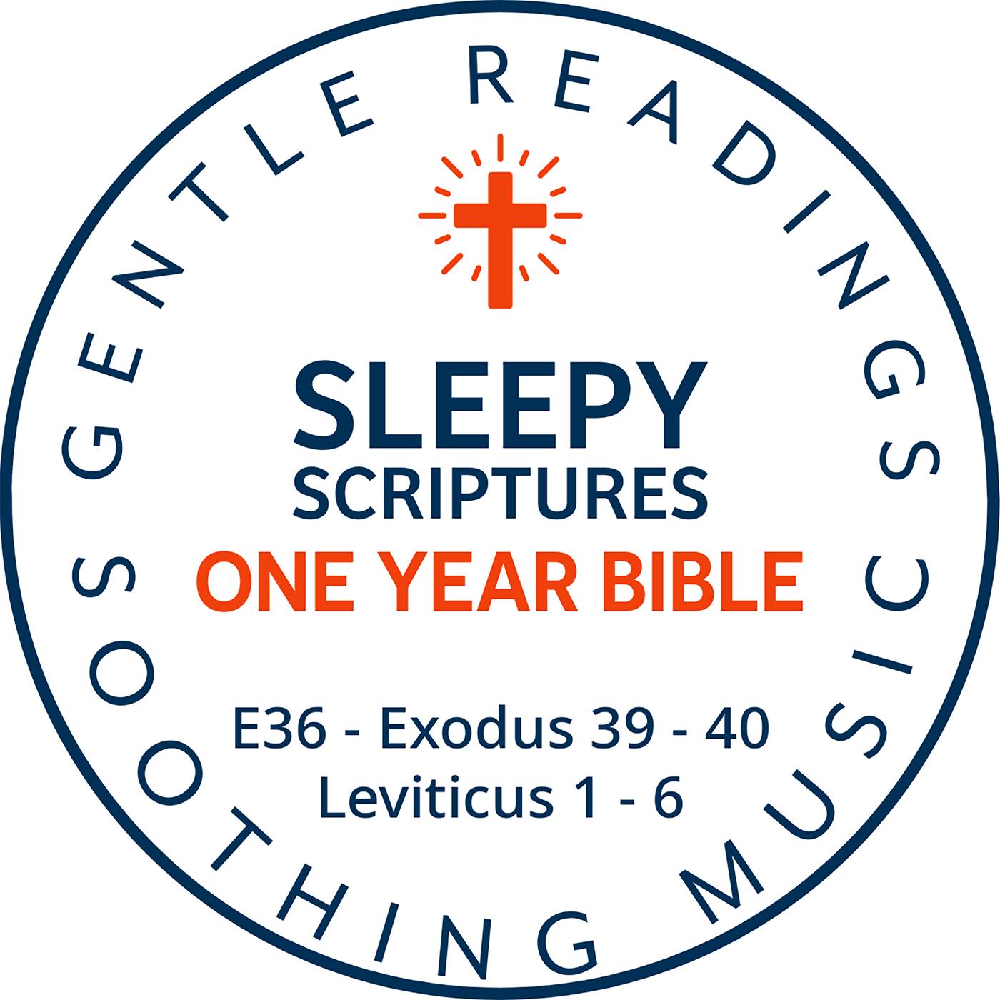 The Light of the World | Week 11: Part 1 | John 9–19 | Sleepy ...