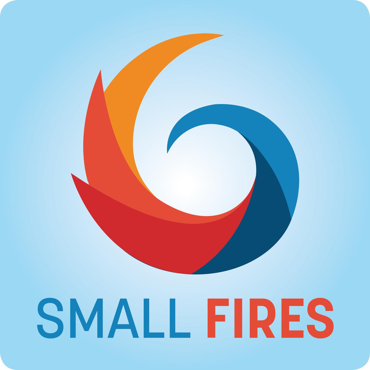 EP14 An Interview with Carolyn McKanders - Small Fires (podcast ...
