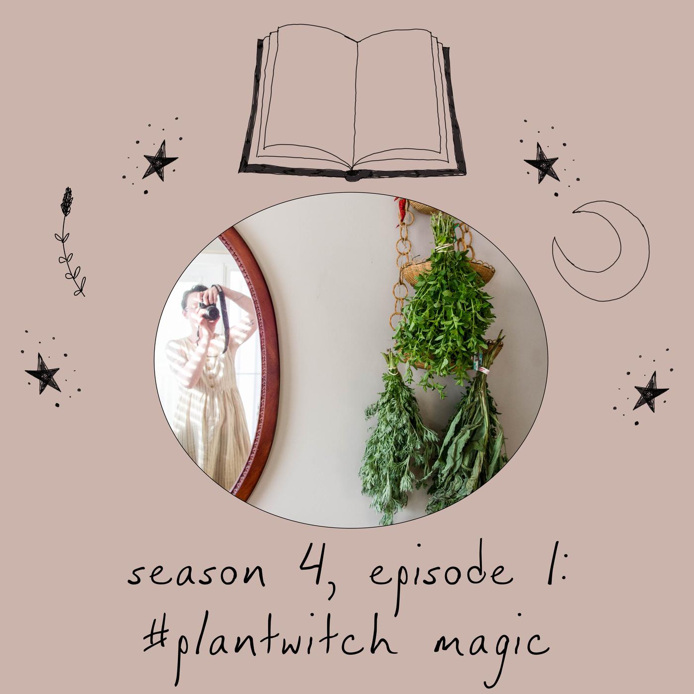 4.1 - #plantwitch magic - snort & cackle (podcast) | Listen Notes