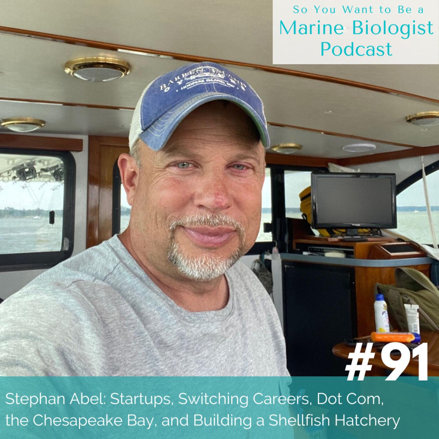 Andrea Richey: Sharks, Consumption, Careers of Passion, and the Hong Kong Shark Foundation ...