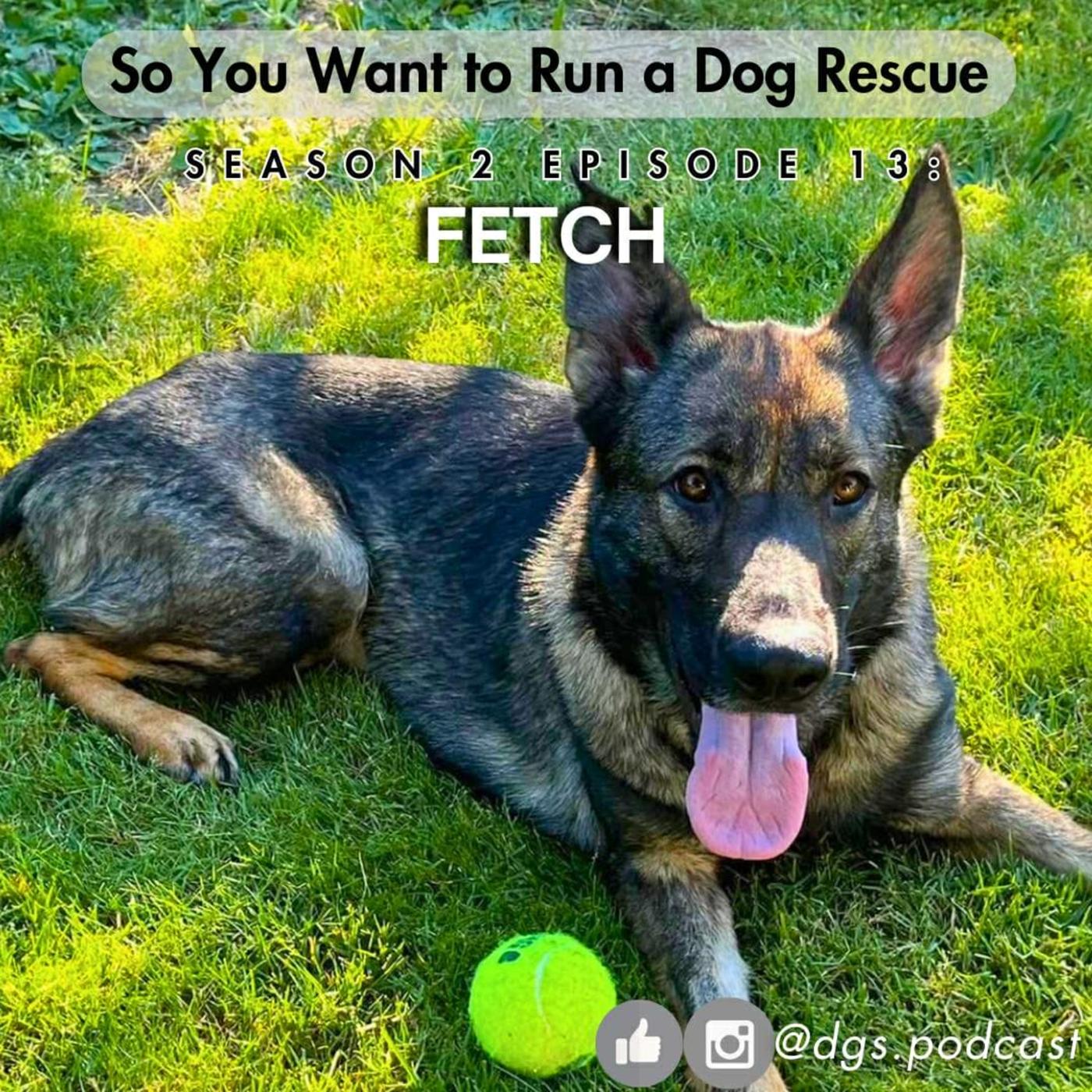 2.13: To Fetch or Not to Fetch, and Dog Rescue Revelations | Listen Notes