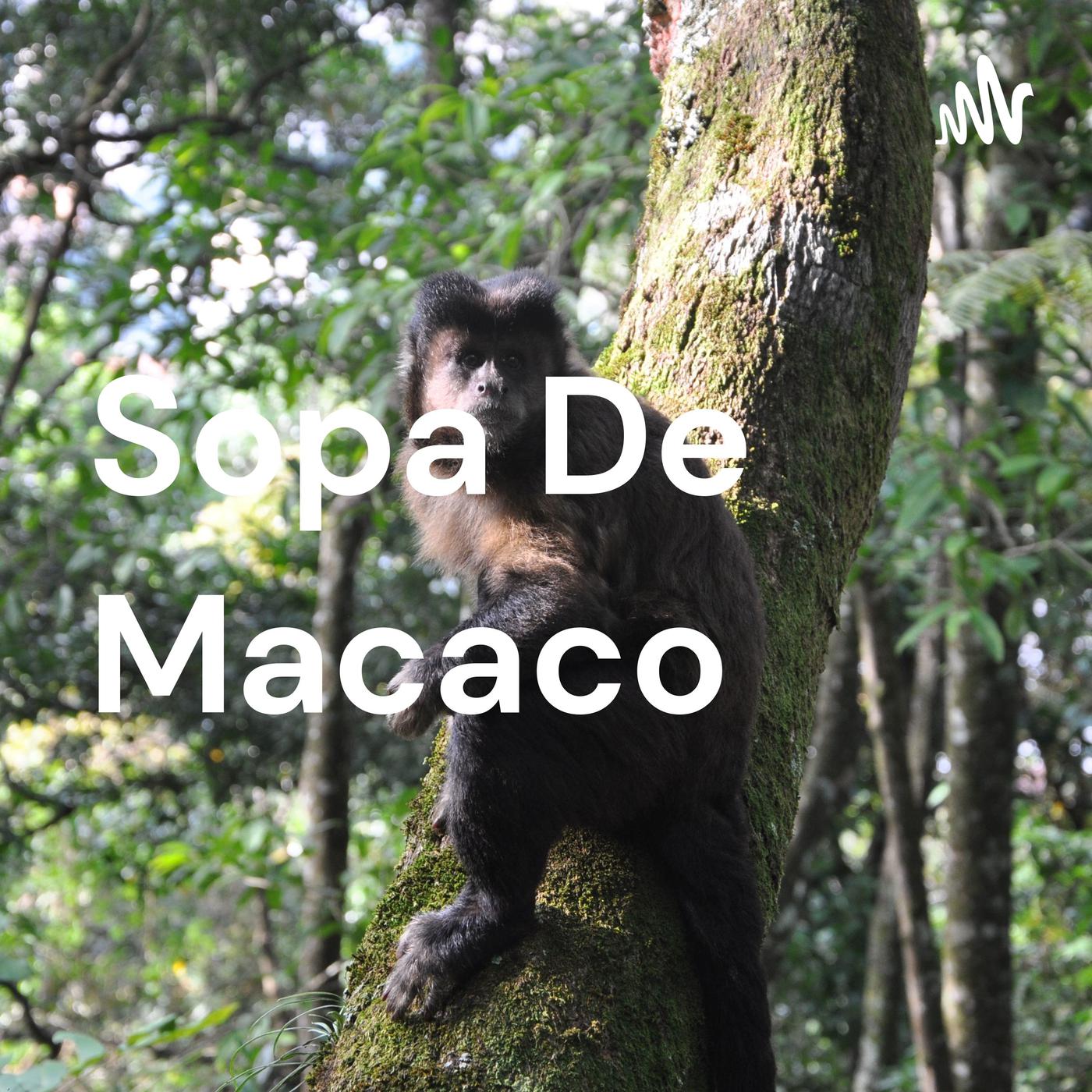Sopa De Macaco (pódcast) - kauan card legal | Listen Notes