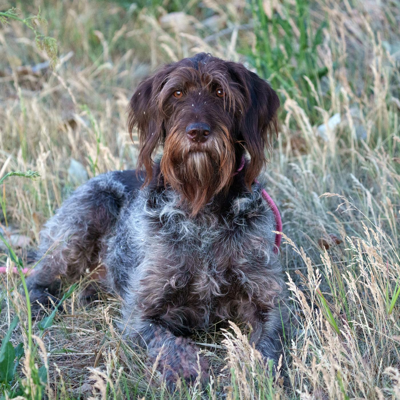 Chuck Delaney from Game Fair on the joy of the outdoors | Listen Notes