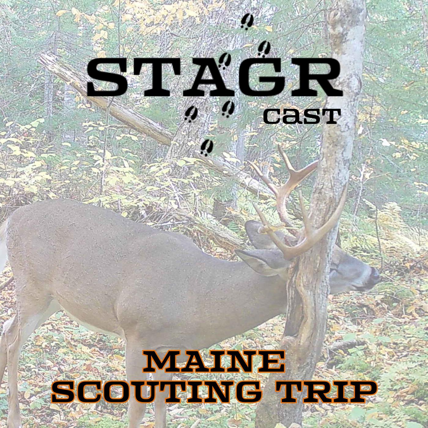 STAGR Cast Shorts: 2025 Gear, Doe Pool, & More - STAGR Cast (podcast ...