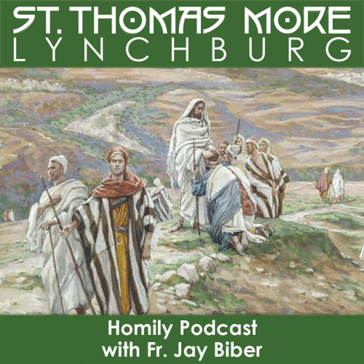 14th Sunday In Ordinary Timer 2025 - STM Lynchburg Homily Podcast ...