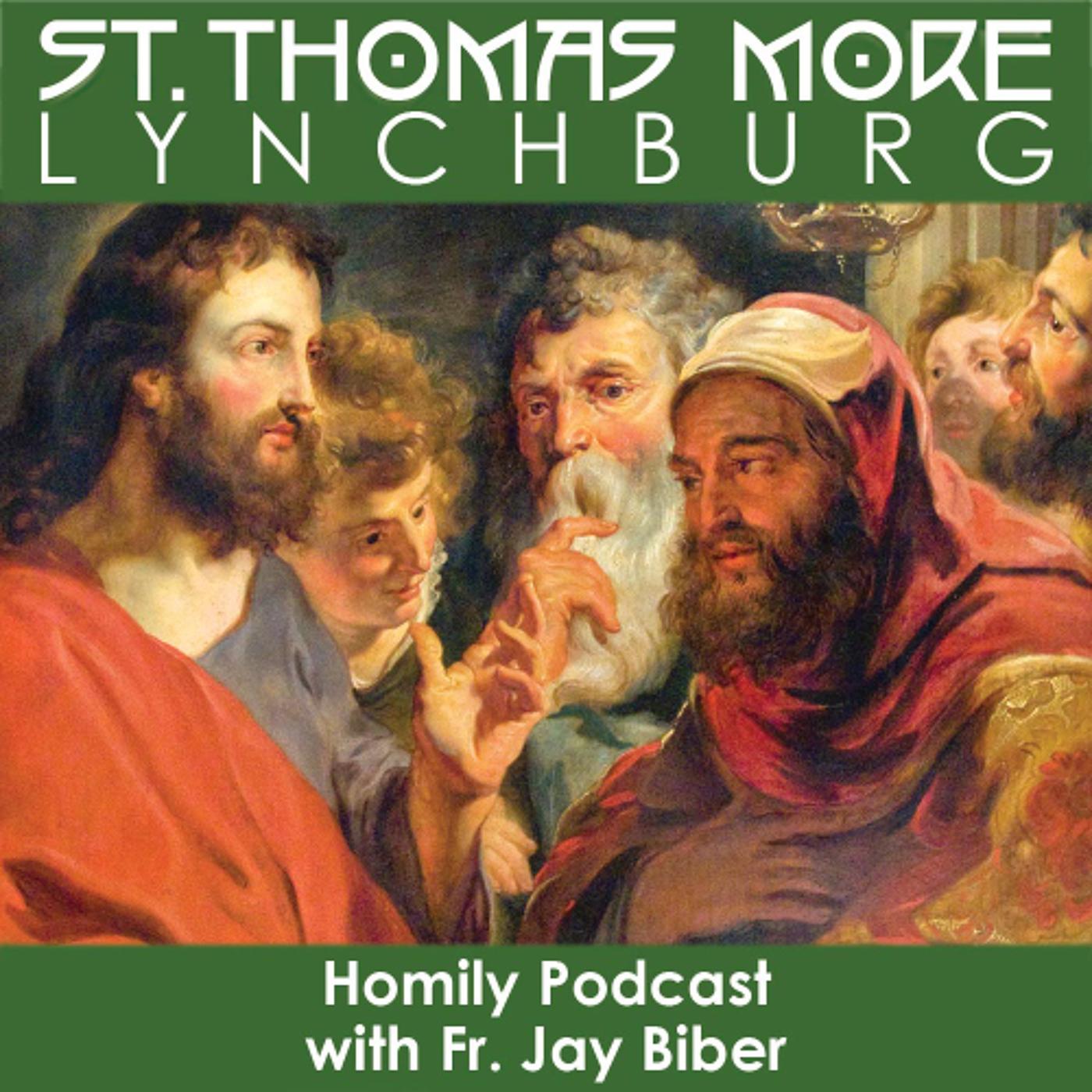 14th Sunday In Ordinary Timer 2025 - STM Lynchburg Homily Podcast ...