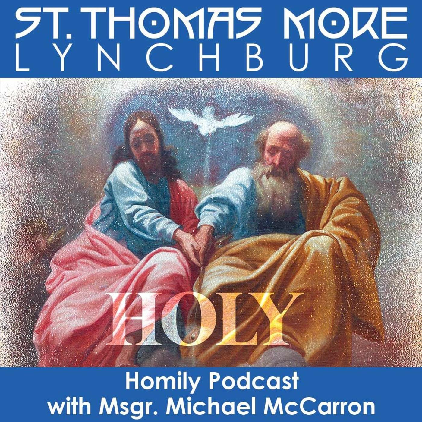 Solemnity of the Most Holy Trinity 2023 - STM Lynchburg Homily Podcast ...