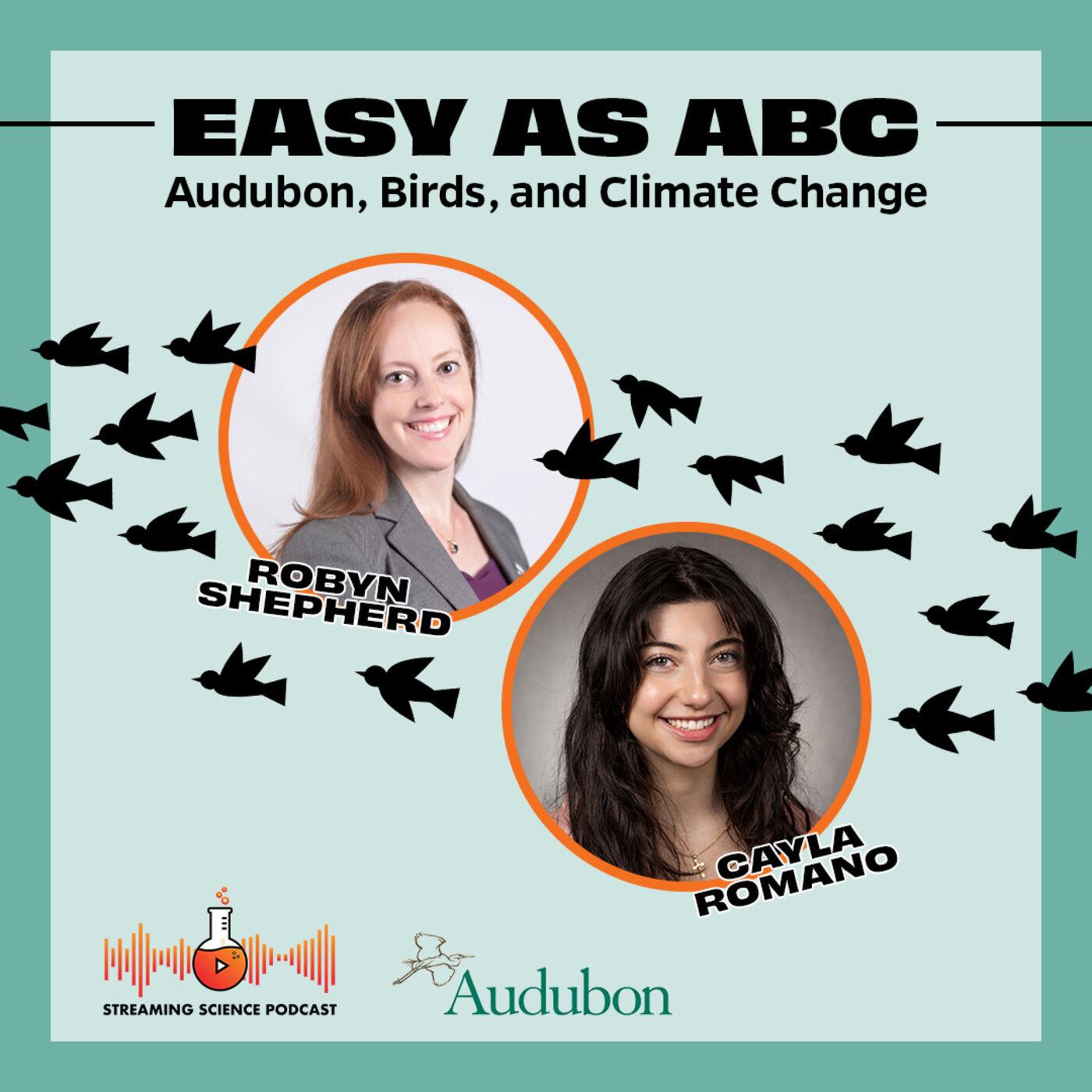 Women in Climate: Easy as ABC: Audubon, Birds, and Climate Change ...