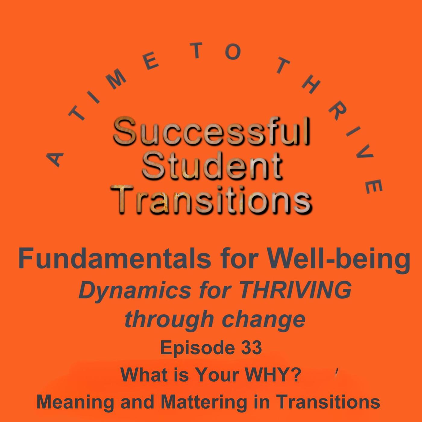 Fundamentals for Well-being - What is your WHY? Meaning and Mattering ...