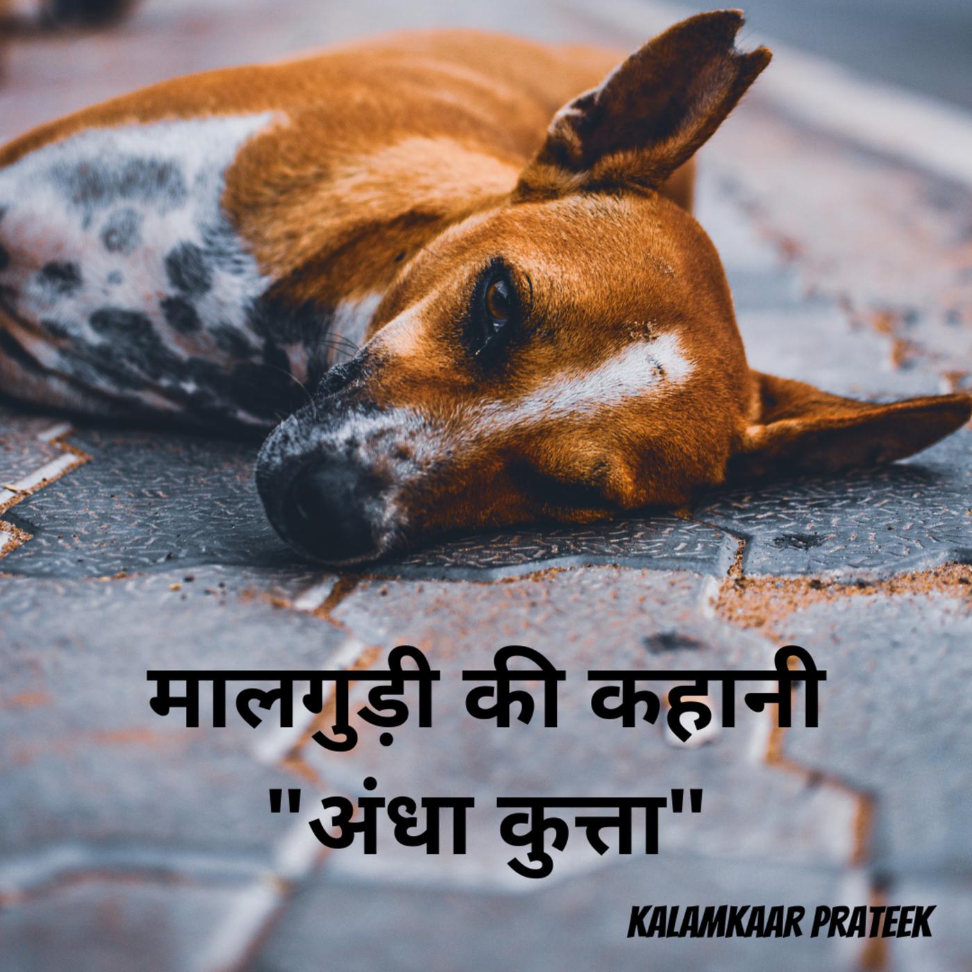 Malgudi Days - Ek Andha Kutta - Hindi Kahani - Storytelling | Listen Notes