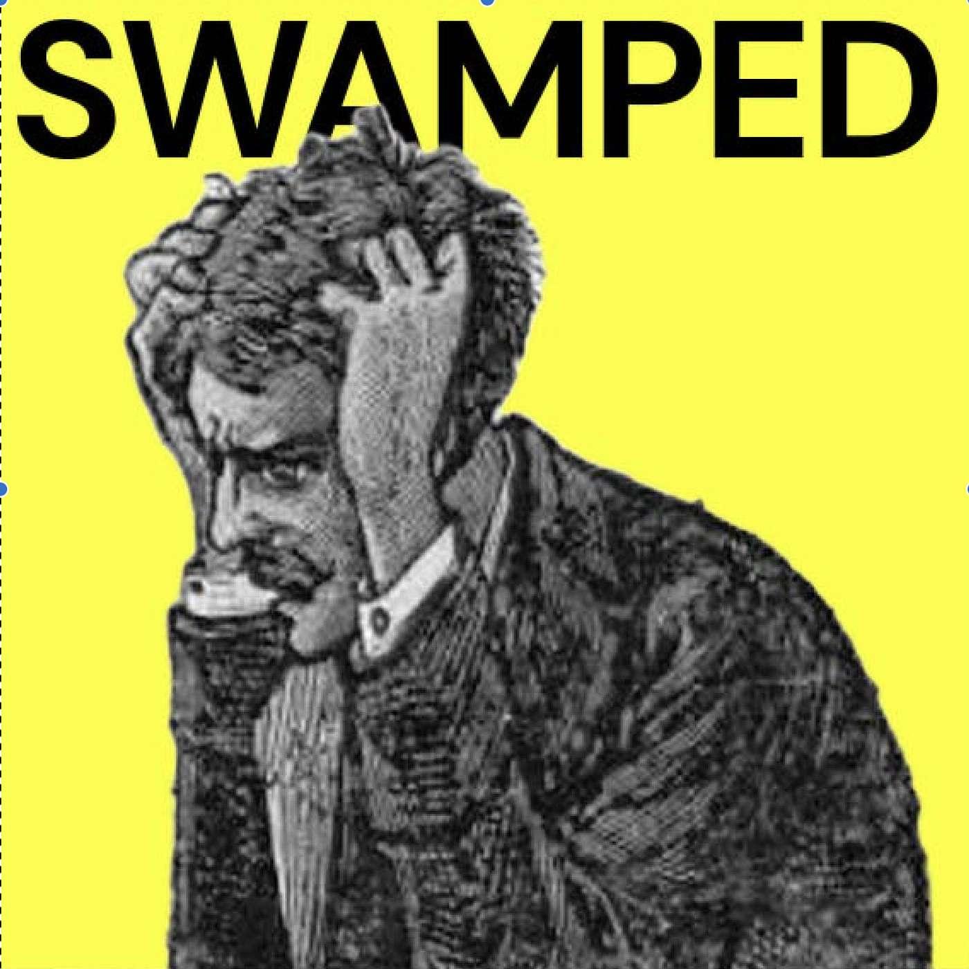 Swamped: What Experts Do When they No Longer Know What to Do | Listen Notes