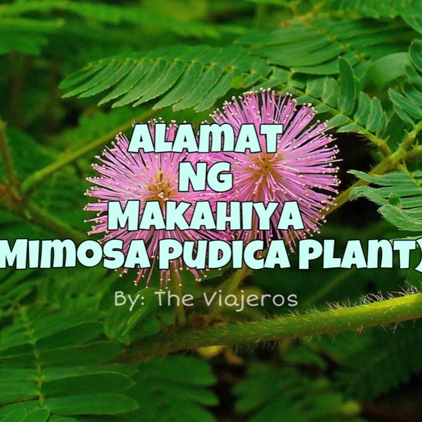 Tagalog Short Stories for Kids (podcast) - The Viajeros | Listen Notes