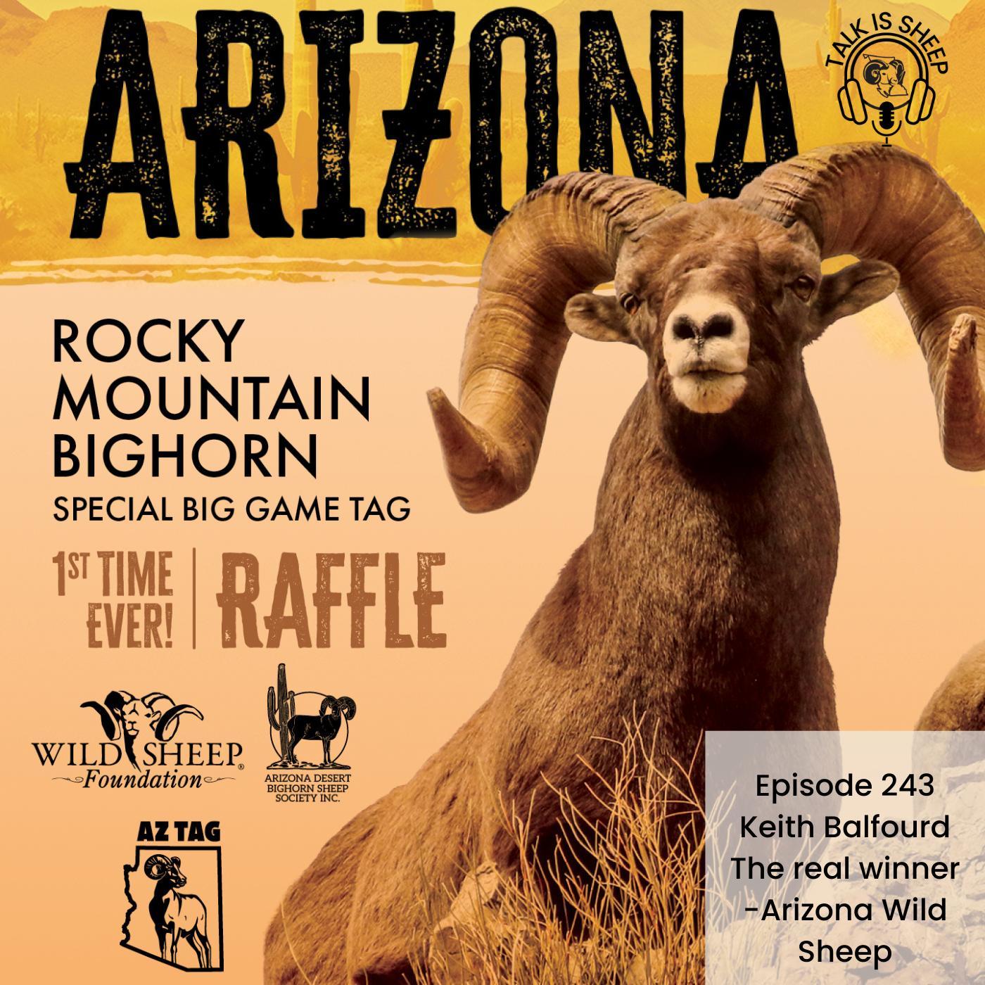 EP 77: A Life of Adventure with Adam Foss - Talk Is Sheep (podcast ...