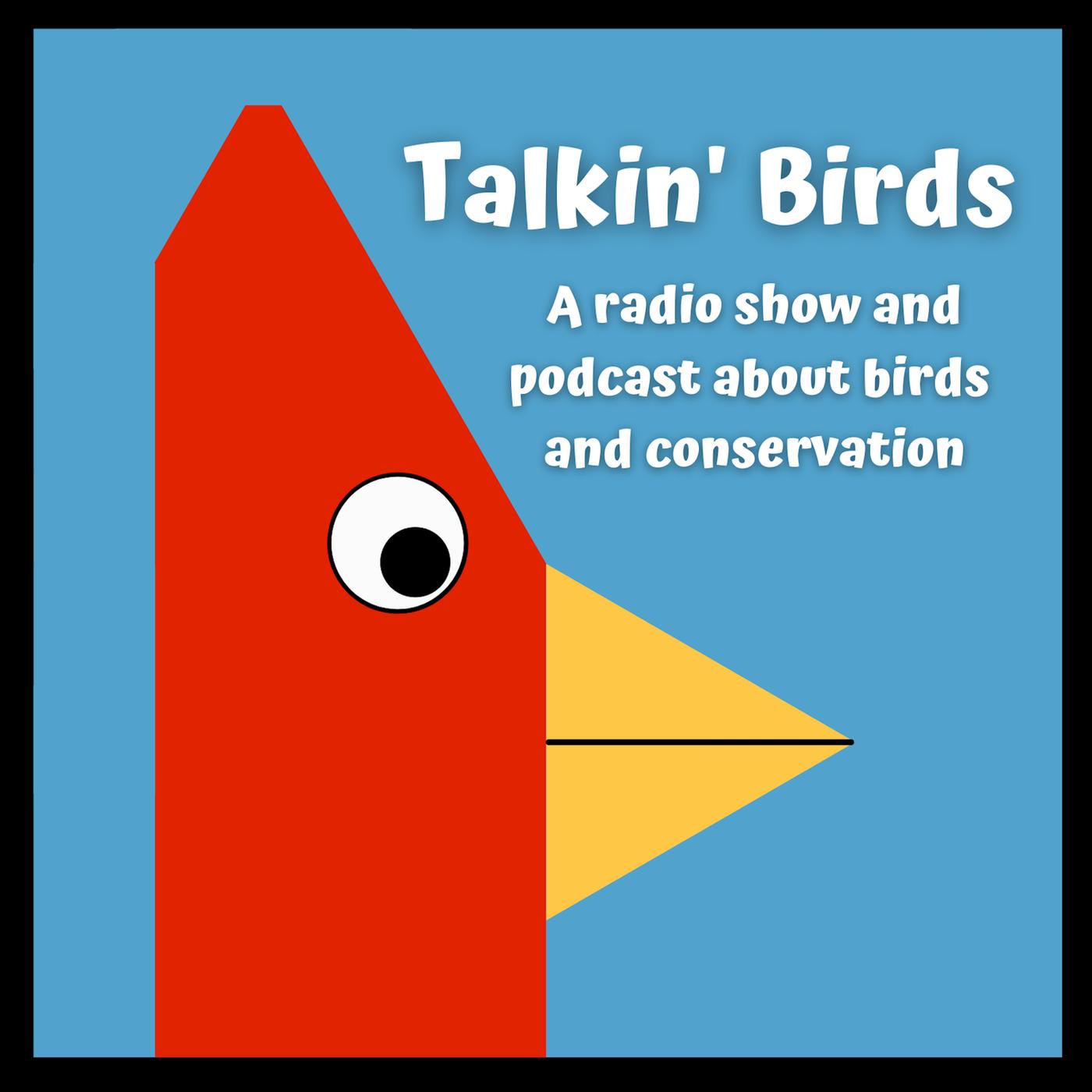 Talkin' Birds (podcast) - Ray Brown's Talkin' Birds | Listen Notes